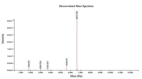 Mz Of 6655 Deconvoluted Mass Spectrum Novatia Llc