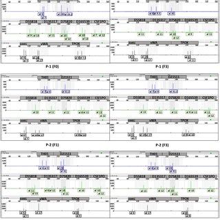 Electropherogram Showing The Unique Profile Of Each Tumour To Compare Download Scientific