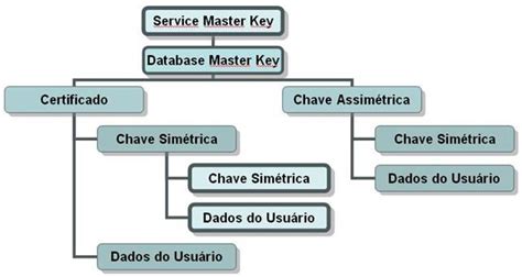 Artigo Sql Magazine 50 Criptografando Dados No Microsoft Sql Server 2005 Devmedia