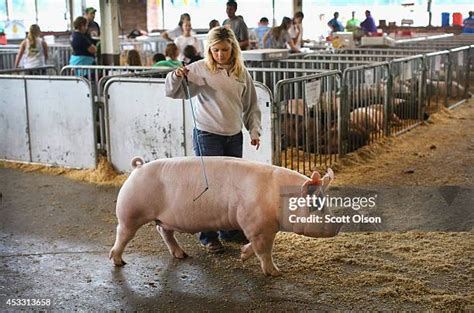 44 Theresa Fitzgerald Photos And High Res Pictures Getty Images