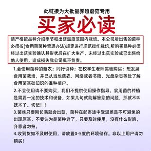 菌种批发平香姬草秀珍二三级栽培种菇农养殖种植食用原新鲜厂鸡枞 阿里巴巴