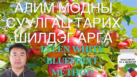 Алим болон жимсний модны суулгац тарих хамгийн сайн арга Youtube