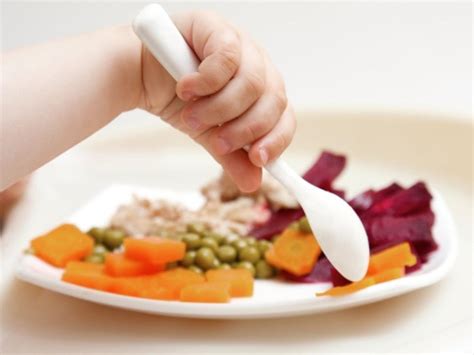 Maamuu · Чухал эрдэс бодисууд ямар хүнсэнд байдаг вэ