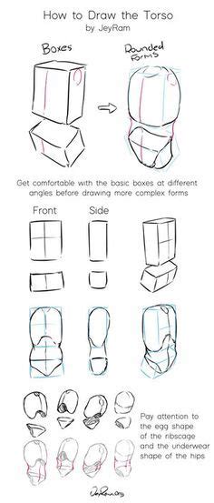 How To Draw The Torso Step By Step Instructions For Beginners And