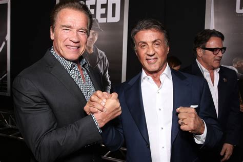 Sylvester Stallone News Latest Sylvester Stallone News And Updates