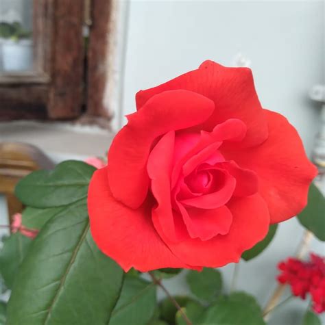 Euronews Georgia Added A New Photo Euronews Georgia