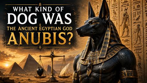 Medjed The Mysterious Ancient Egyptian God Known As The Smiter