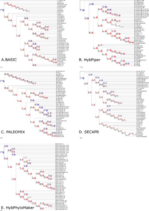 Astral Trees With Phyparts Analysis For Each Pipeline A Basic B