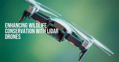 Enhancing Wildlife Conservation With Lidar Drones