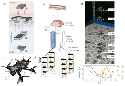 Fully Neuromorphic Vision And Control For Autonomous Drone Flight Mavlab