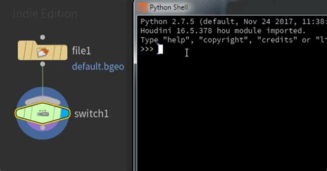 Getting Active Input From A Switch Node Scripting Od Forum