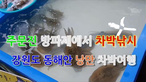 강원도 동해안 낭만 차박여행 주문진 방파제에서 차박낚시 Youtube