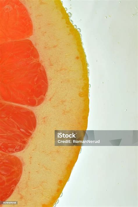 흰색 바탕에 육즙이 많은 자몽 슬라이스의 클로즈업 흰색 배경에 탄산수에 담긴 붉은 자몽 조각 클로즈업 세로 매크로 이미지 0명에 대한 스톡 사진 및 기타 이미지 Istock