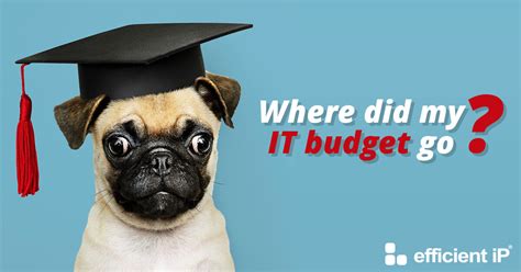 Efficientip On Linkedin Cybersecurity Infosec Infosecurity Highereducation Save Cost