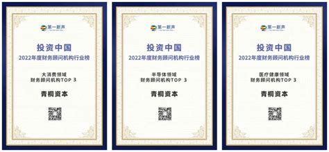 青桐资本荣获第一新声2022年度最佳财务顾问机构TOP5及 五大行业最佳财务顾问TOP5 等多项荣誉 青桐荣誉 电子工程专辑