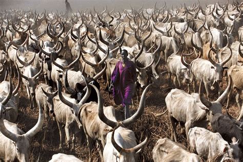 Powerful Photographs Show The Daily Life Of The Dinka People Of Southern Sudan Bored Panda