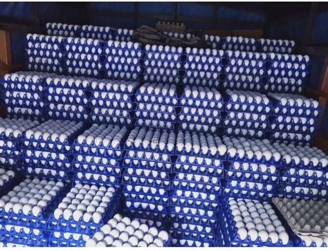 Egg Shop Menu Design