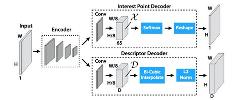 Feature Extraction What Is It And Why Is It Important
