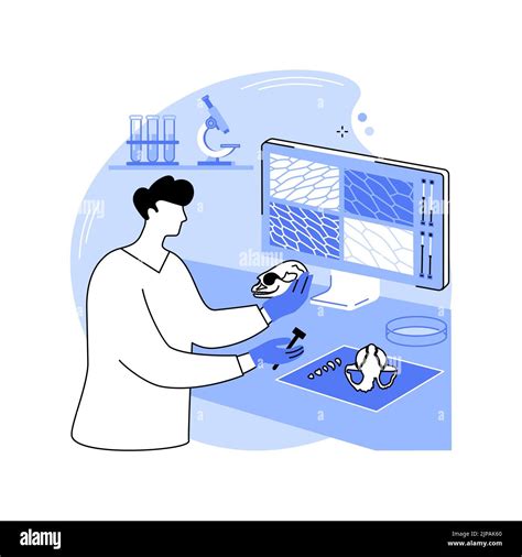 Archeology Isolated Cartoon Vector Illustrations Stock Vector Image And Art Alamy