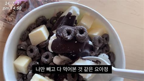 먹방 브이로그 여름은 디저트의 계절 요아정 카라멜크레이프 연세우유저당생크림빵 스윙칩양파크림치즈 스타벅스케이크 수박 크루키 대파크림치즈샌드위치 폭식 입