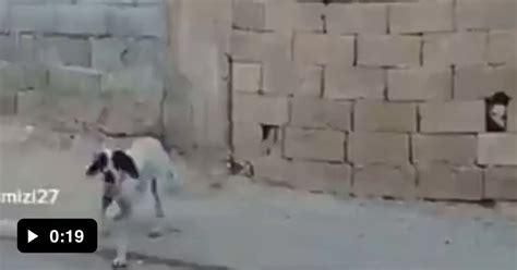 Best Cheat Ever Seen 9gag