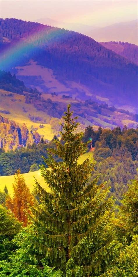 Обои на рабочий стол Осень Радуга Гора Дерево Ландшафт Земля природа 748831 для ПК