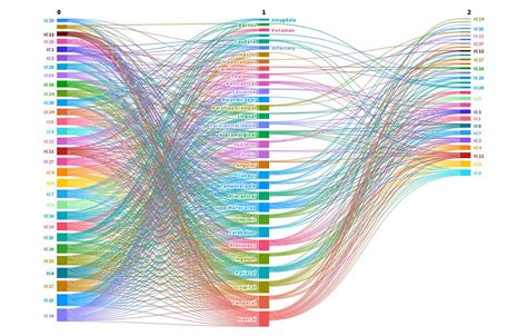 Insights Into Brain Network Dynamics Across Ages Using Group Ica Functional Parcellation Flourish