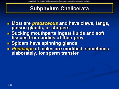 Ppt Classification Phylum Arthropoda Chapter 19 Subphylum Trilobita