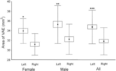 Hemispheric And Gender Differences In The Area Occupied By VAE The Download Scientific Diagram