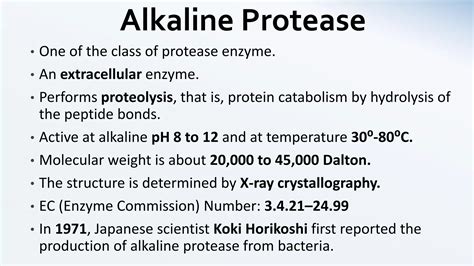 Alkaline Protease Pptx