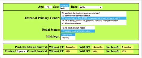 Browser Based Software Application That Can Be Used To Help Make