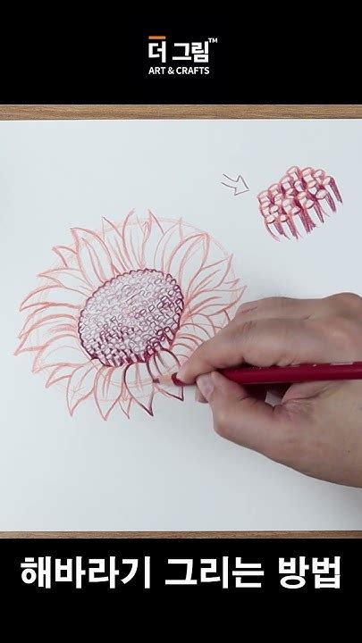 해바라기 스케치 이렇게 하세요 Drawing 드로잉 연필드로잉 Youtube