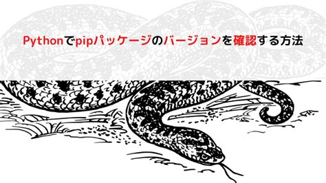 Pythonでpipパッケージのバージョンを確認する方法 ちょげぶろぐ