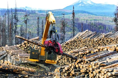 Logging Family Sticks Together To Face Tough Conditions Equipment Journal