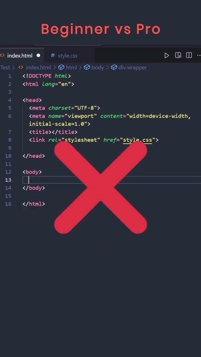 Css Beginner Vs Pro Developer Programming Html5 Css Javascript Youtube