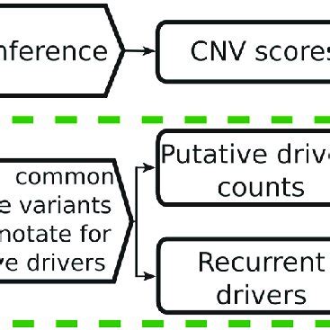 Flowchart Depicting A Cancer Cell Filtering Process Additional Steps Download Scientific