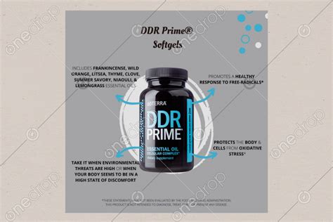 Ddr Prime Softgels By Latifa Majedi