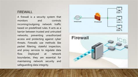 Internet Basics Notes Class 10 Cbsepptx