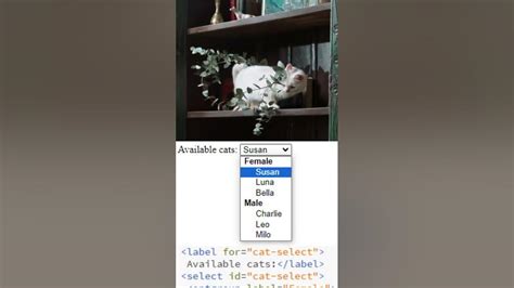 Select Optgroup Option Html Youtube