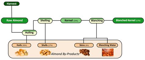 Almond By Products A Comprehensive Review Of Composition