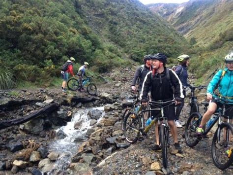 Green Jersey Cycle Tours Bks Chardonnay