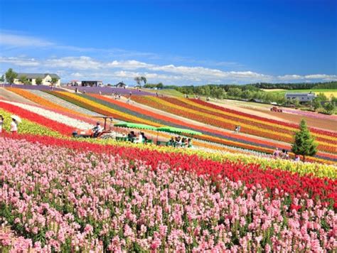 日本で一番せっかちな都道府県、2位は東京都、1位は意外なアソコ！