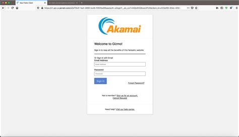 Optional Authorization Request Parameters