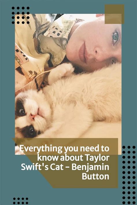 Everything You Need To Know About Taylor Swifts Cat Benjamin Button Taylor Swift Cat