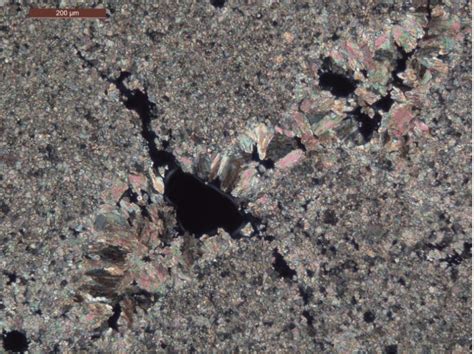 Thin Section Photomicrograph Illustrating Anhydrite Within A Dolostone