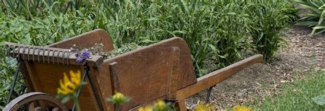 10 Conversation Starters Questions About Vegetable Gardening The Talk Starter