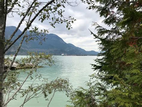Echo Lake Trail Loop — Skwelwilem Squamish Estuary Wildlife Management