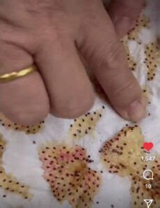 How To Save Seeds My ULTIMATE GUIDE PunkMed