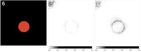 Sample With Non Robust Feature Left Integrated Gradients For