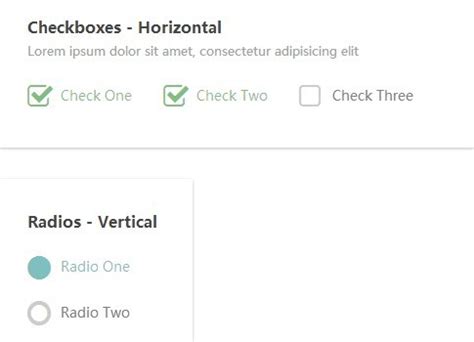 Animated Checkbox Radio Button With CSS3 And Font Awesome CSS Script